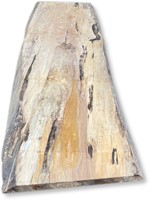 Boomstamblad | Beuk | 283cm lang | 6cm dik | B32 Bos-hout