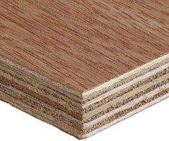 Hardwood Multiplex | 244x122cm | 18mm Bos-hout